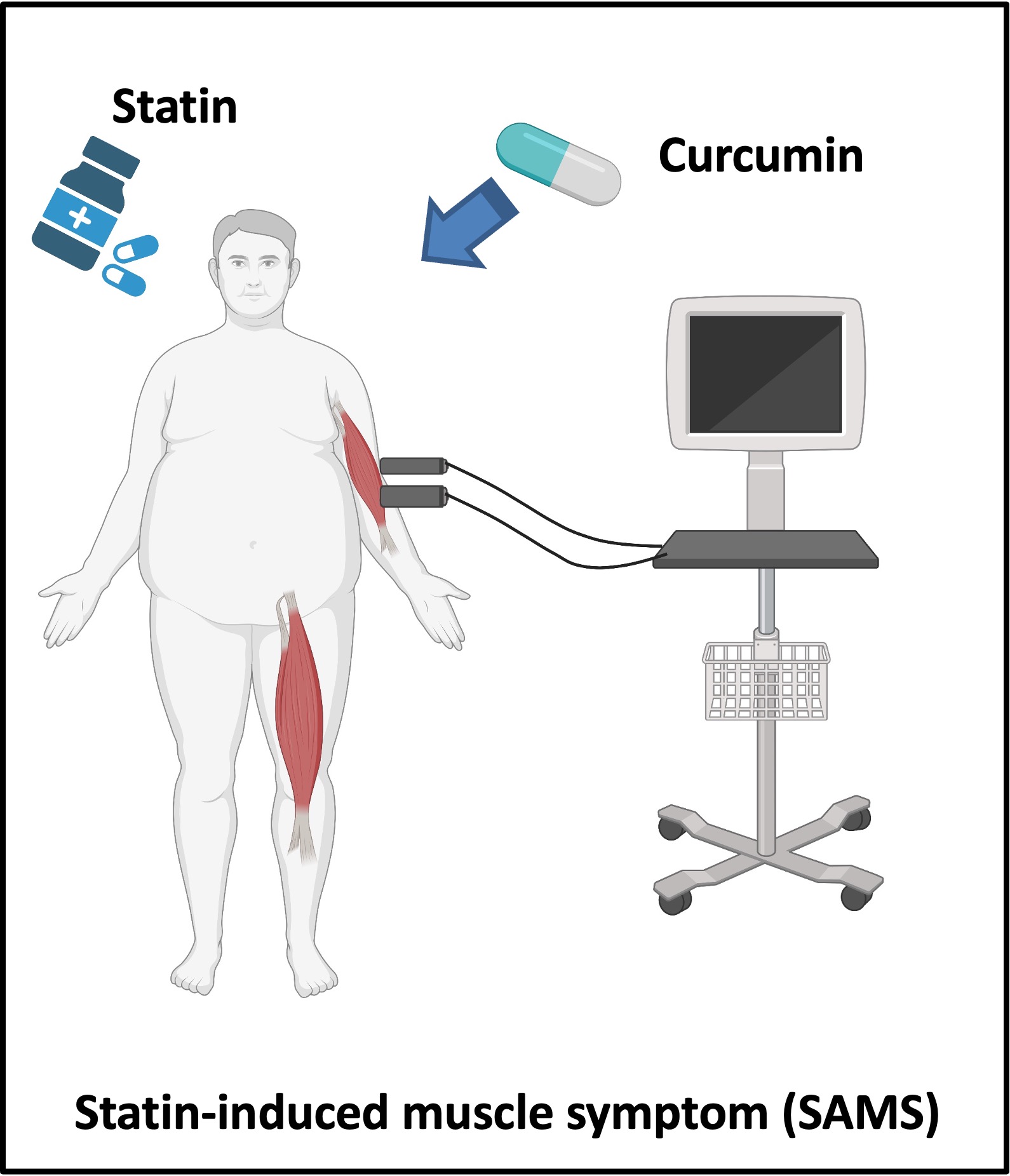 Research | Kwon's Laboratory - Integrative Physiology Lab