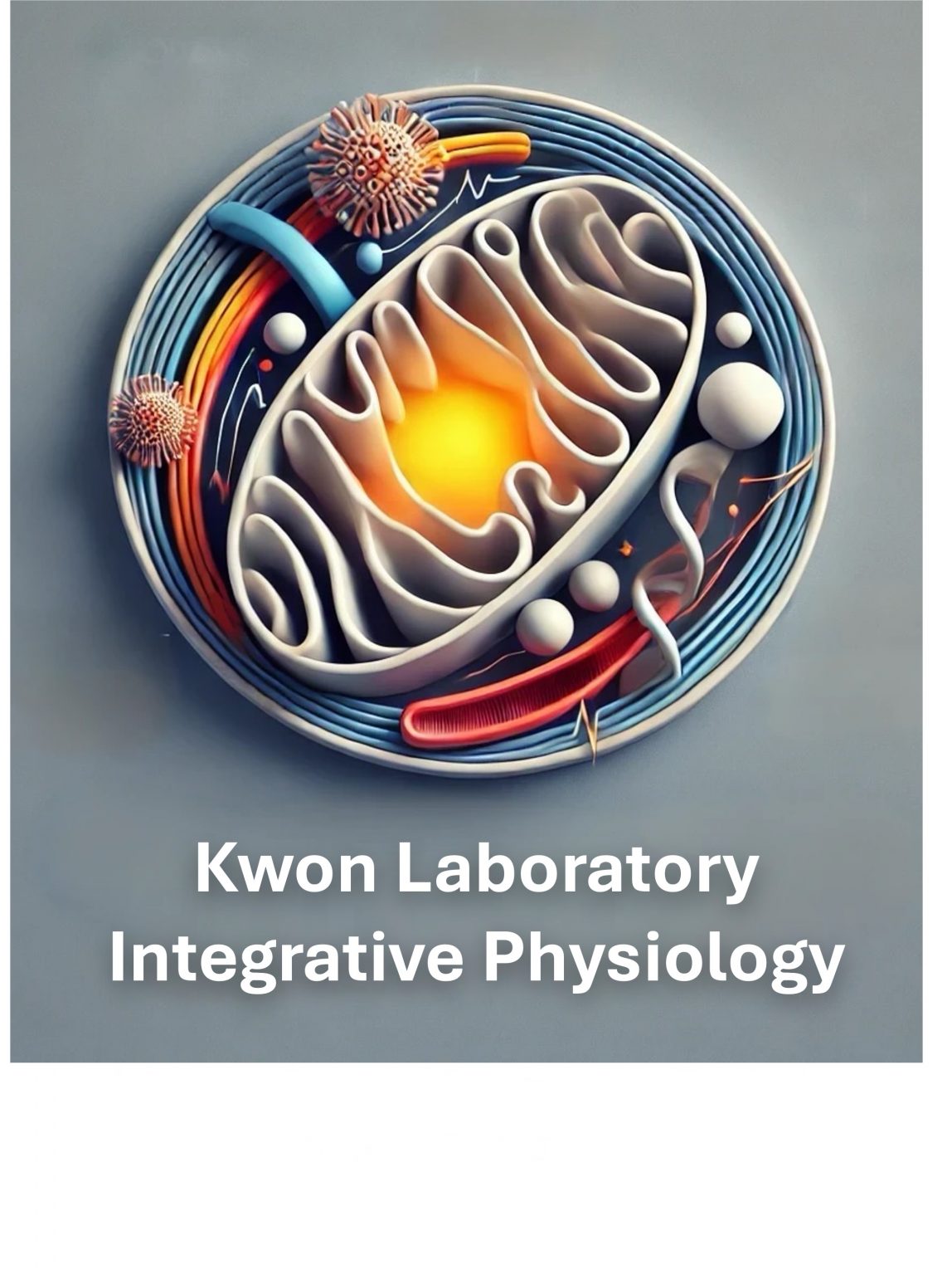 Home | Kwon's Laboratory - Integrative Physiology Lab Home | Kwon's Laboratory - Integrative Physiology Lab